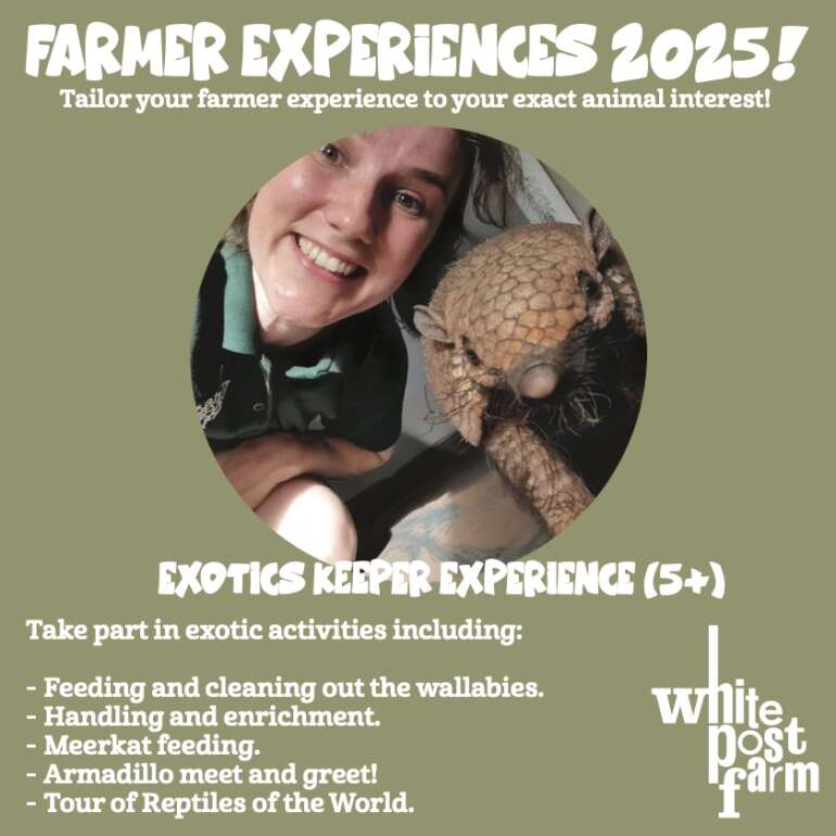 Farmer Experiences – White Post Farm