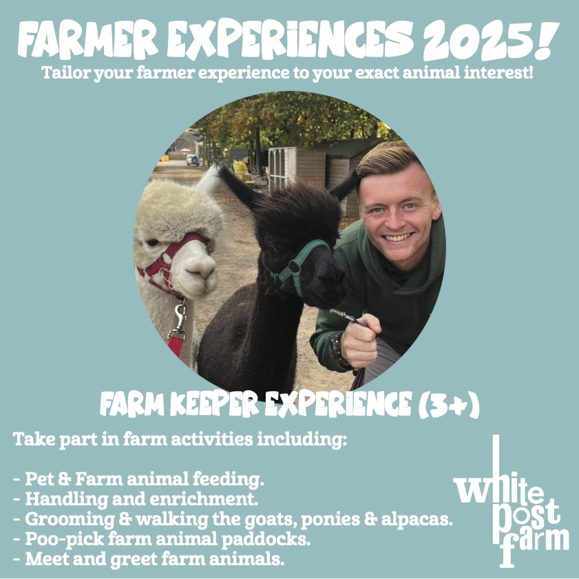 Farmer Experiences – White Post Farm