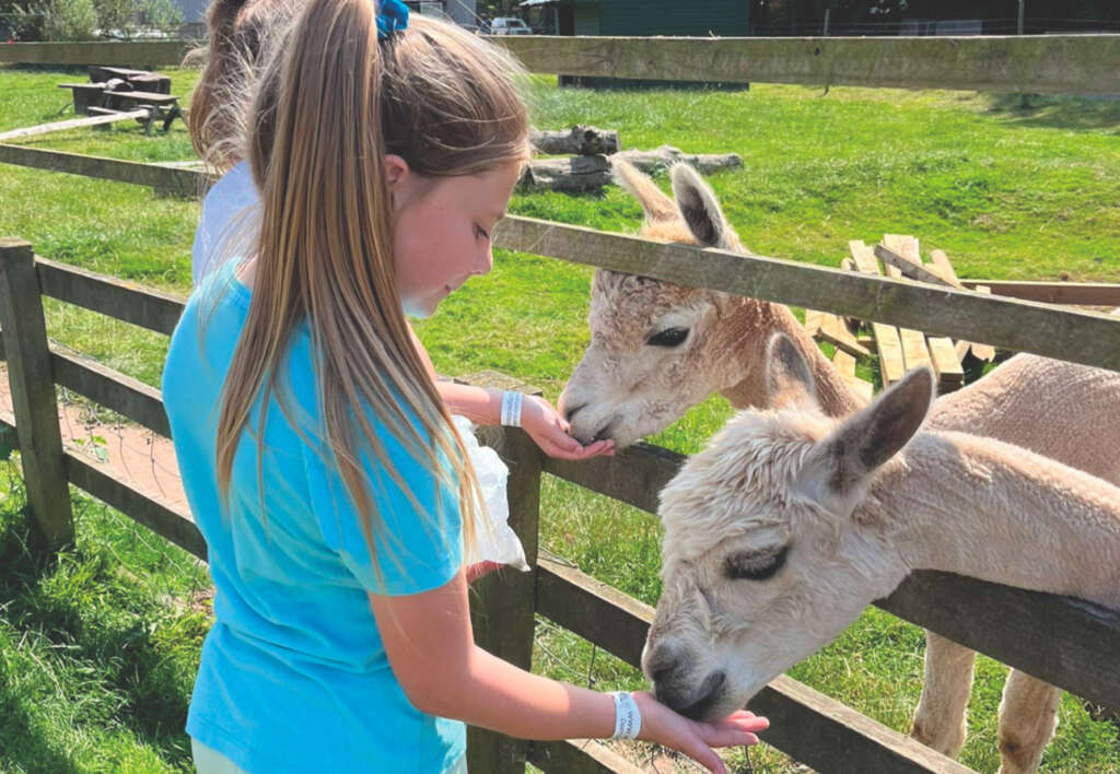 Group Experiences – White Post Farm