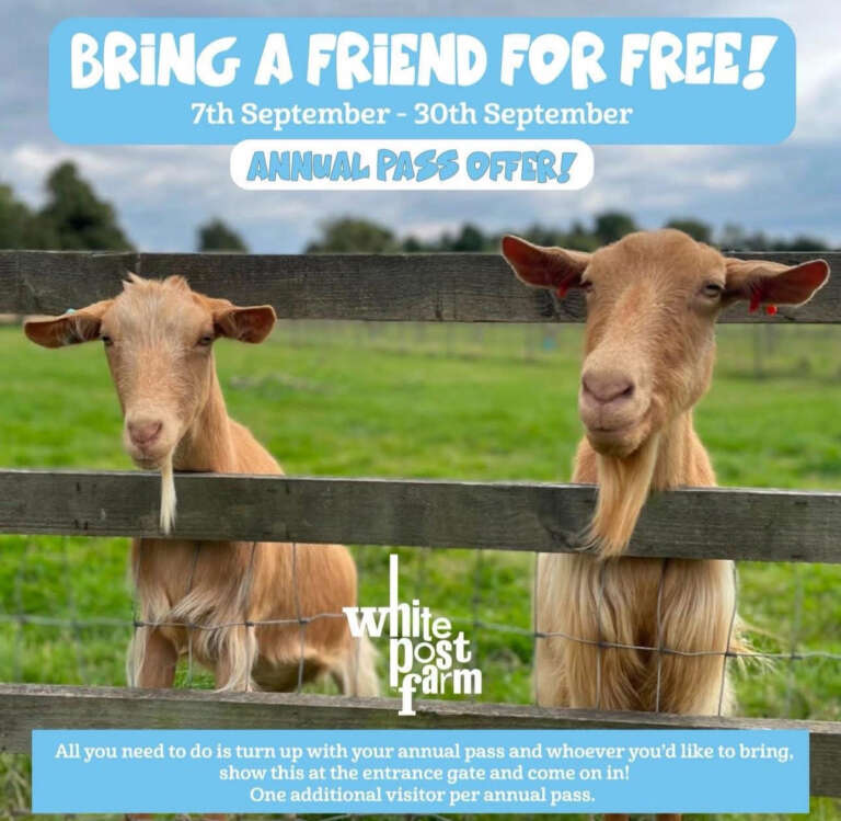 Events from November 6 – November 30 – White Post Farm