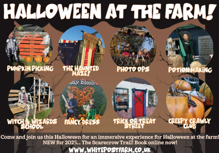 Upcoming Events at White Post Farm – White Post Farm