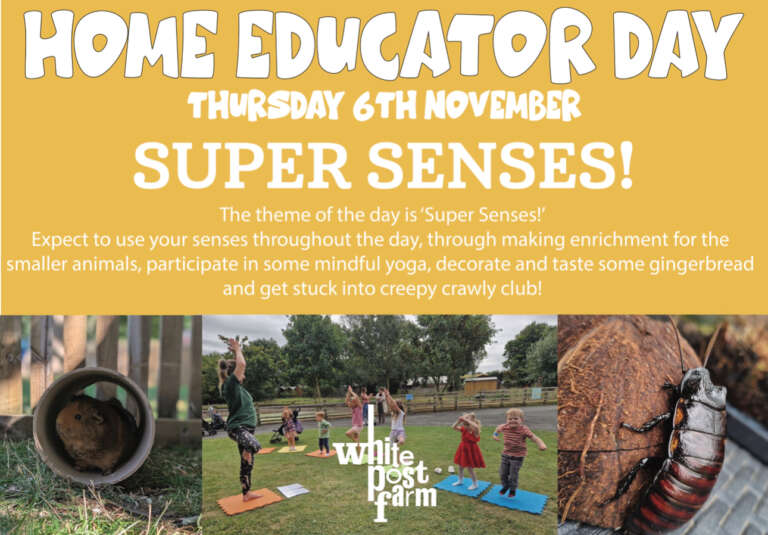 Events from November 6 – November 30 – White Post Farm